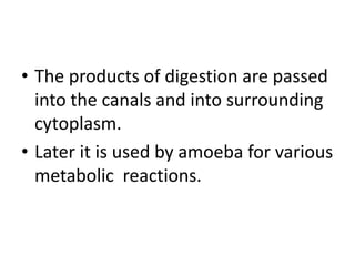 What is holozoic nutrition | PPTX