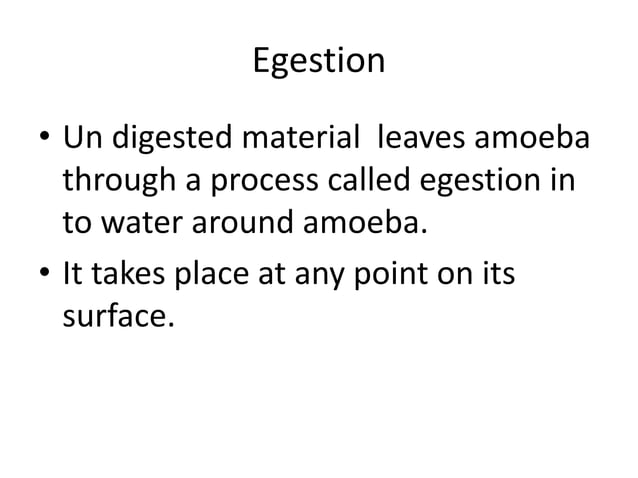 What is holozoic nutrition | PPTX | Nutrition | Healthy Living
