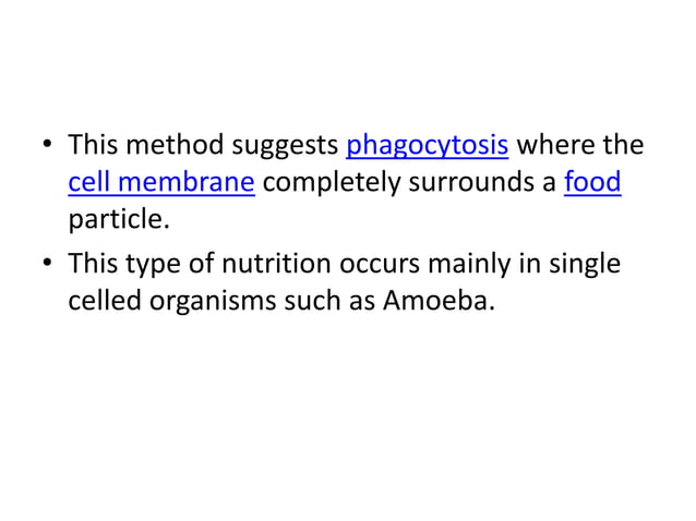What is holozoic nutrition | PPTX | Nutrition | Healthy Living