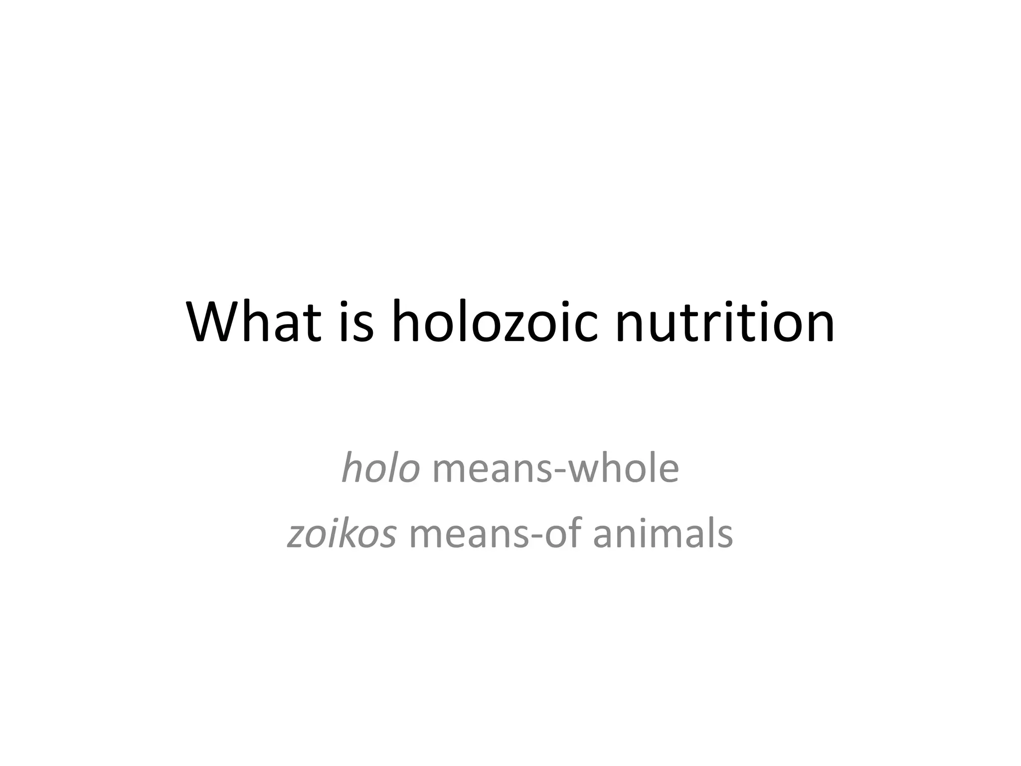 What is holozoic nutrition | PPTX