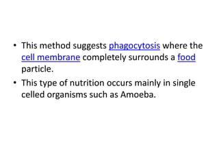 What is holozoic nutrition | PPTX