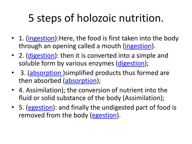 What is holozoic nutrition | PPTX