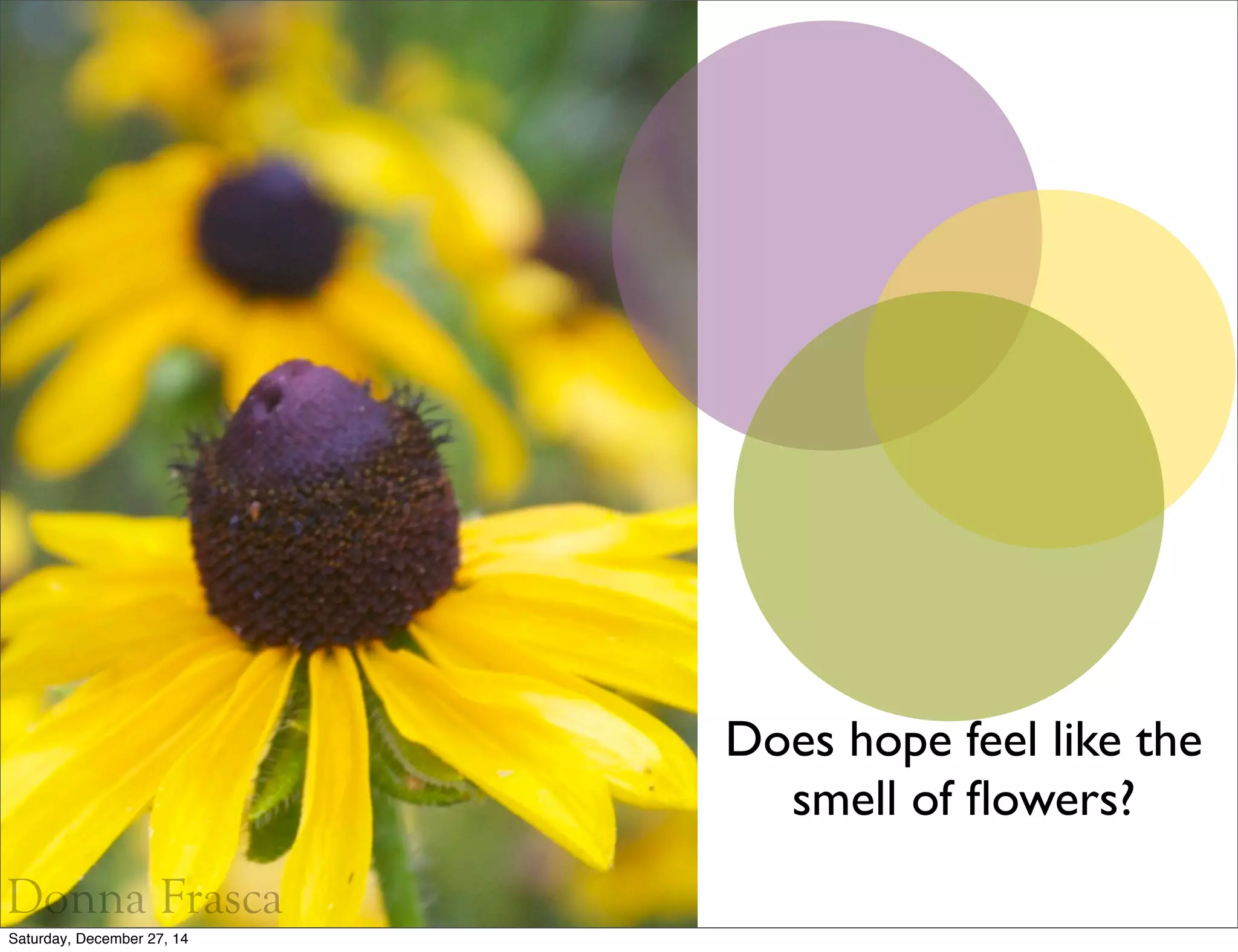 What Is The Color of HOPE? | PDF