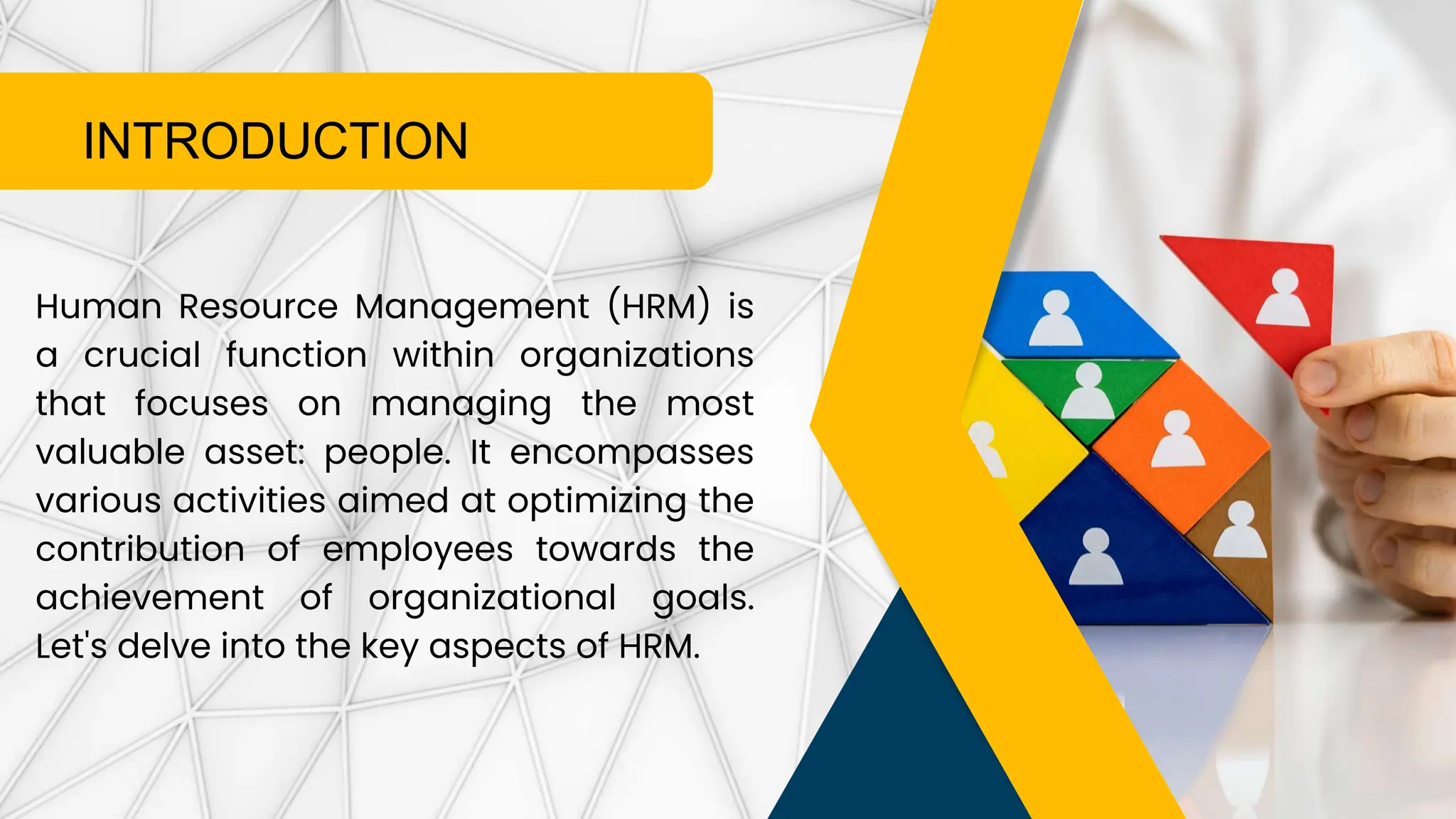 Unlocking Organizational Potential: The Essence of Human Resource ...