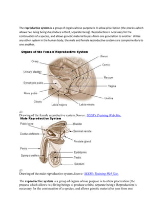 What is human reproduction | DOCX | Infertility | Reproductive Health