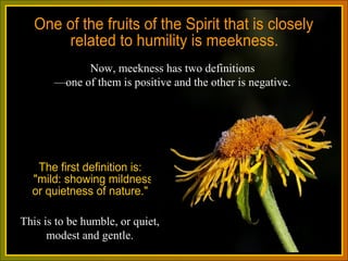what_is_humility | PPT