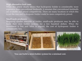 Build Your Own Fodder System