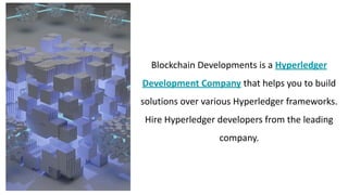 What is Hyperledger Development? | PDF