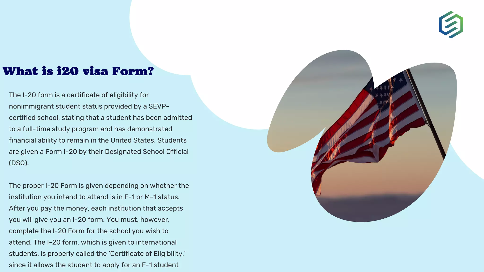 What is i20 visa form.pdf