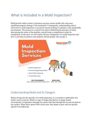 What is Included in a Mold Inspection... | PDF