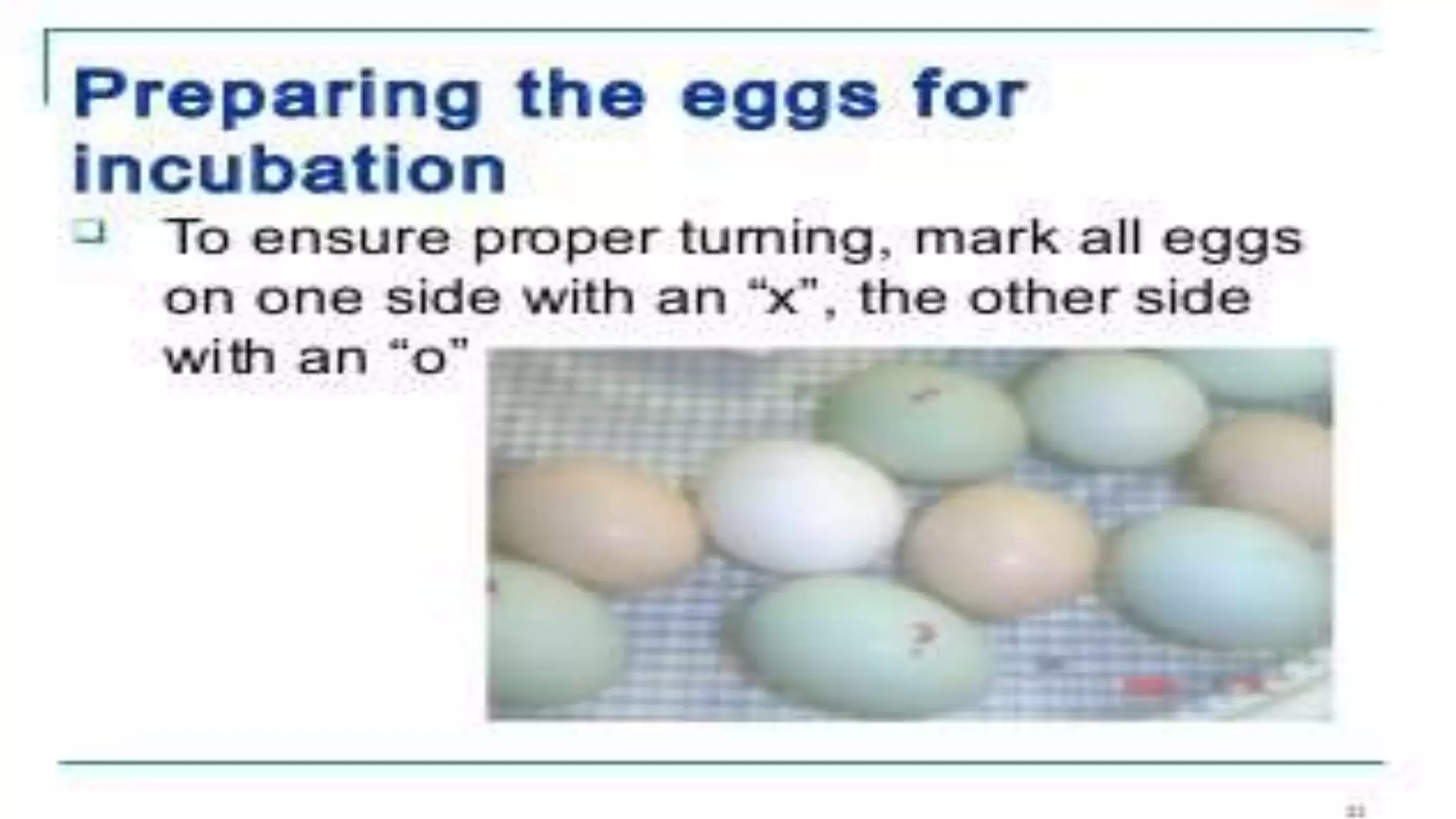 What is incubation? | PPT