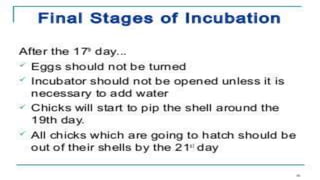 What is incubation? | PPTX