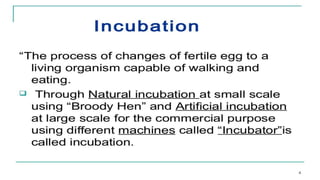 What is incubation? | PPT
