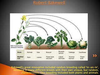 Industrial revolution | PPTX