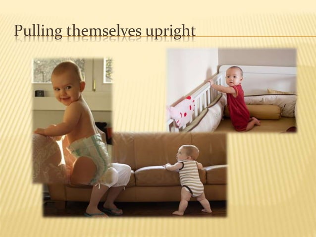 What is infants and their characteristics | PPT