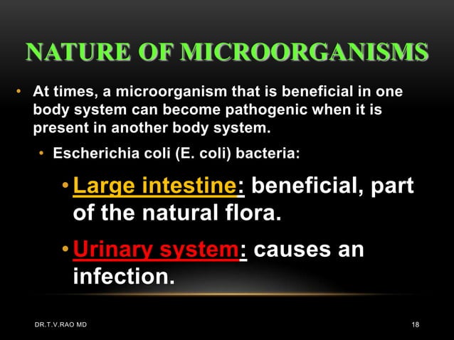 What is Infection ? | PPTX | Infectious Diseases | Diseases and Conditions