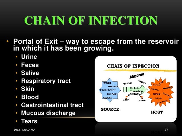 What is Infection