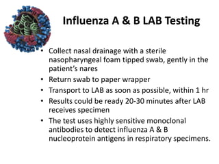 What is influenza (also called flu) | PPT
