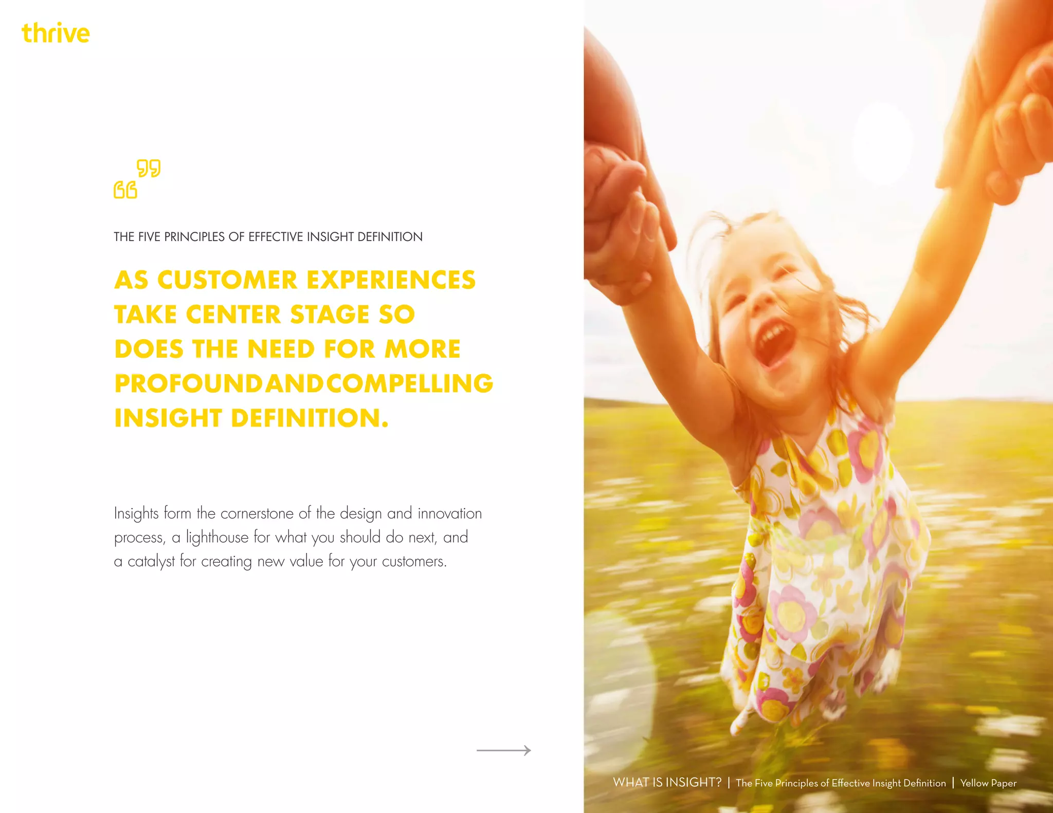 What Is Insight? The Five Principles of Effective Insight Definition | PDF