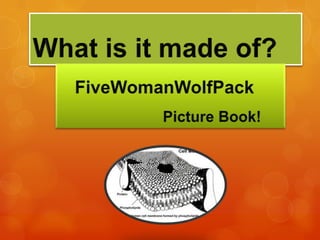 What is it made offinalwhat is it made of | PPTX | Biological Sciences ...