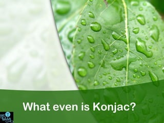 What is Konjac? | PPT