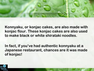 What is Konjac? | PPT