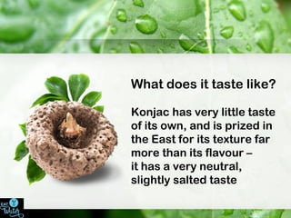 What is Konjac? | PPT