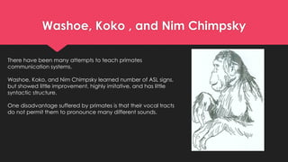 What is language | PPT | Free Download