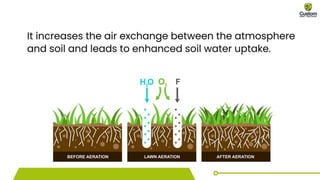 What is Lawn Aeration? | PPT