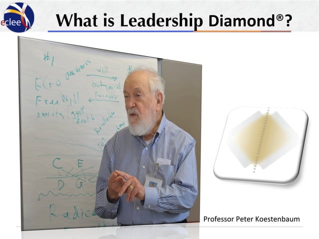 What is leadership diamond participants | PDF | Business | Business and ...