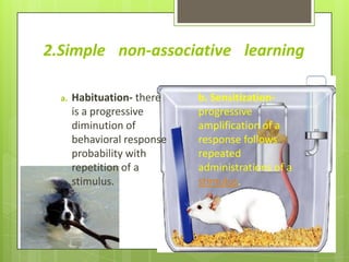 What is learning | PPSX