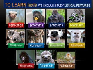 What is lexis? | PPTX