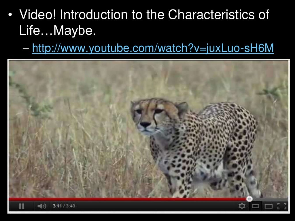 Characteristics Of Life Lesson PowerPoint CHNOPS Biology Introducti characteristics-of-life-lesson-powerpoint-chnops-biology-introducti