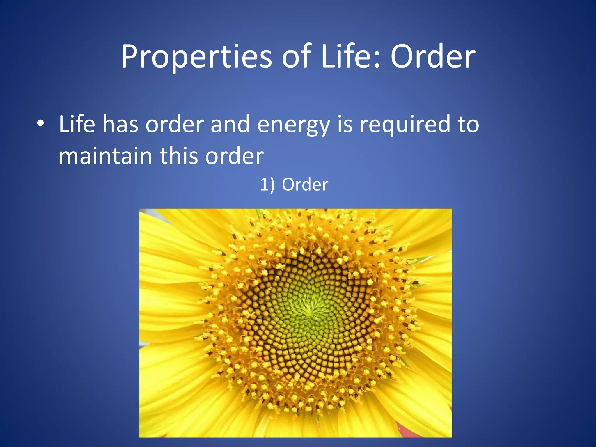 What is Life | PPTX