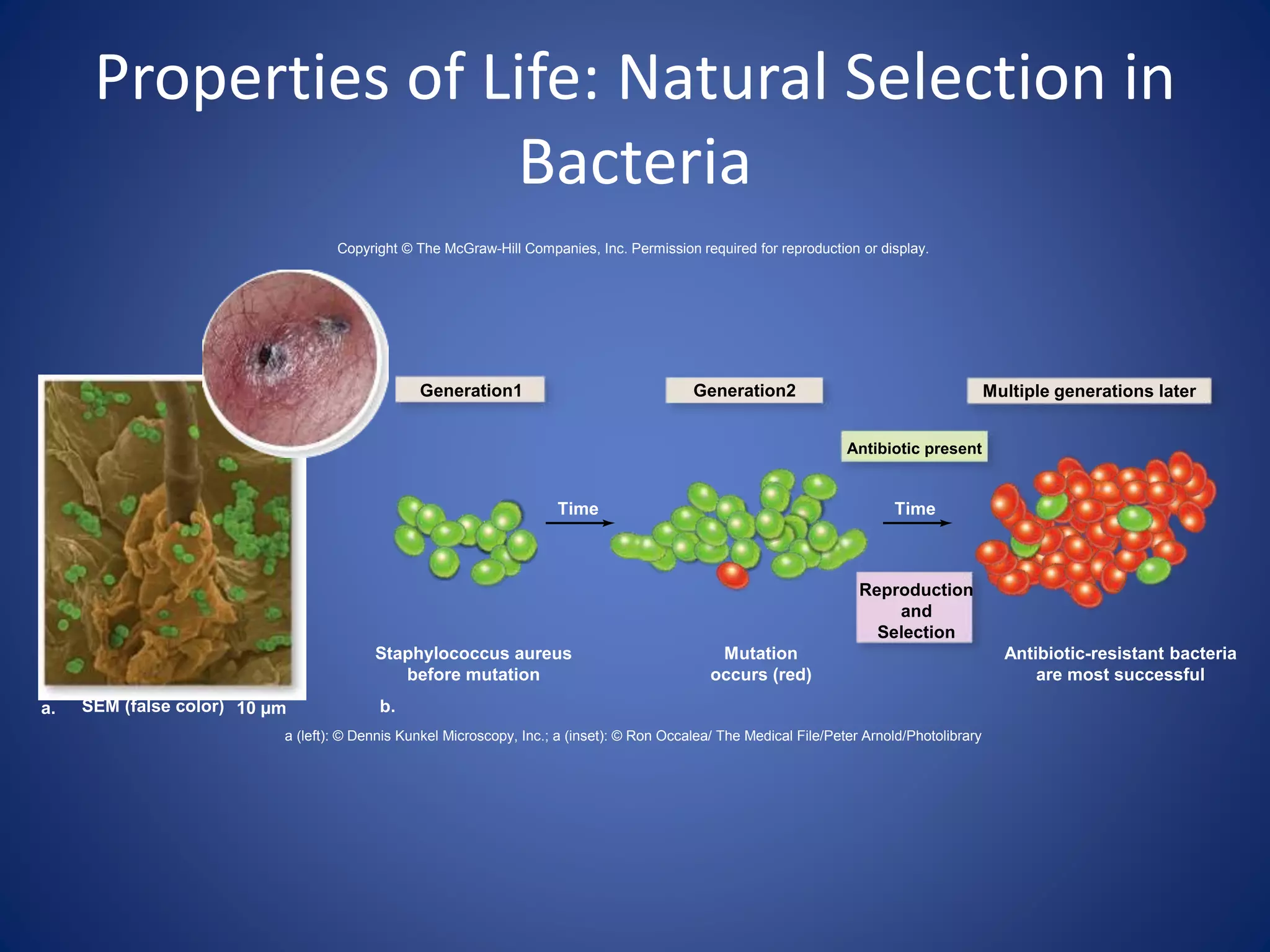 What is life biology, science, and how we study things. | PPTX