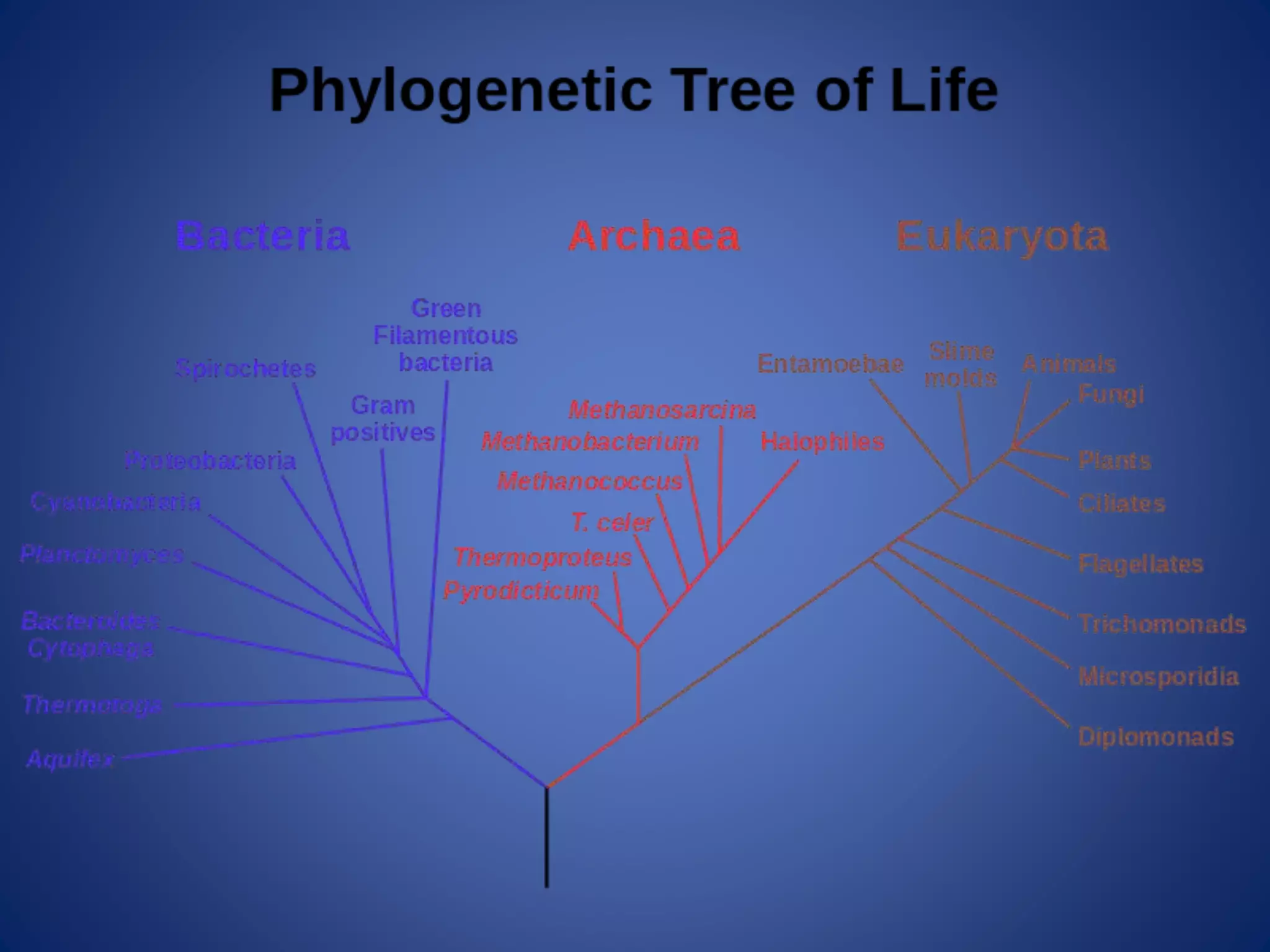 What is life biology, science, and how we study things. | PPTX
