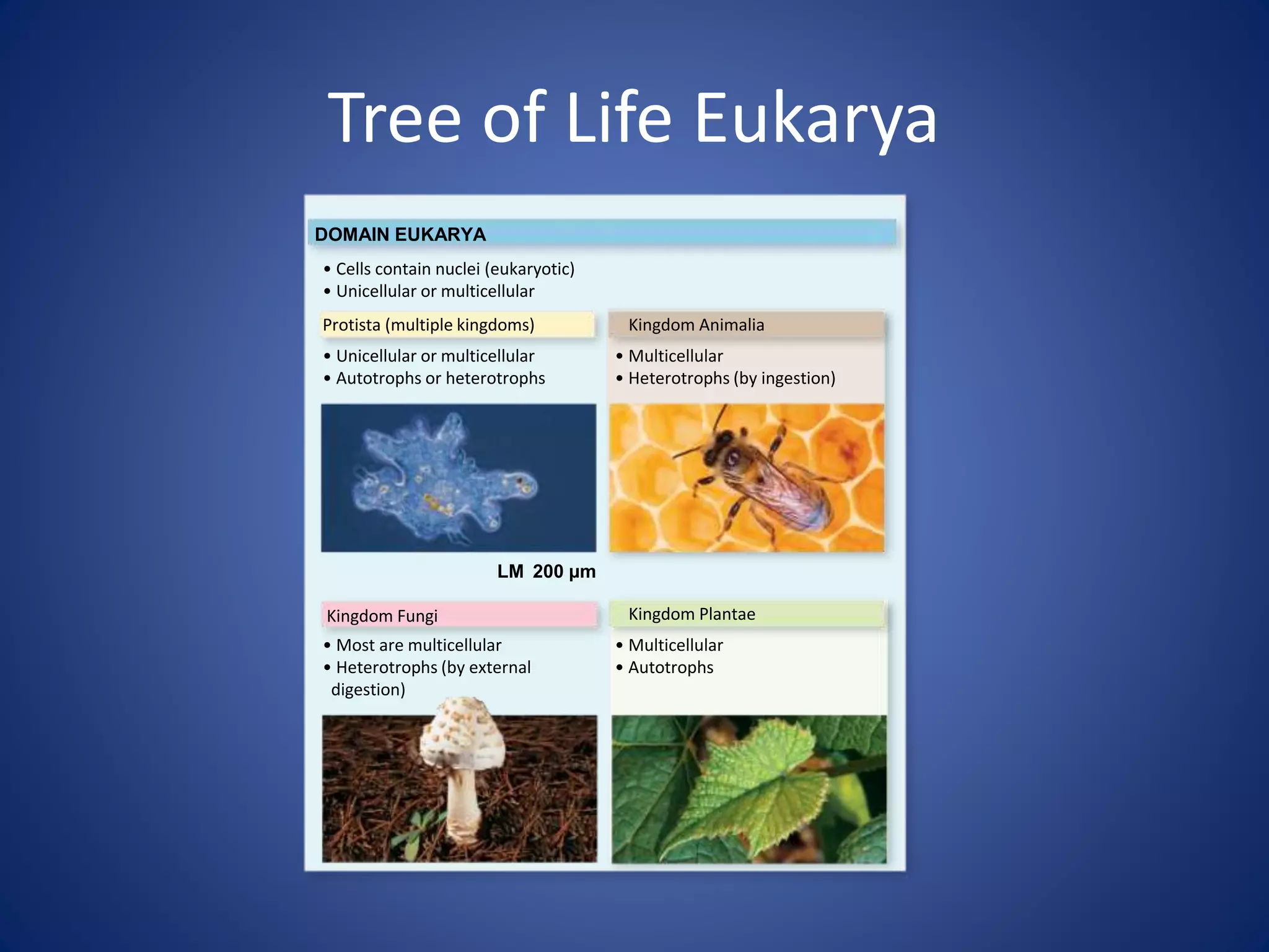 What is life biology, science, and how we study things. | PPTX