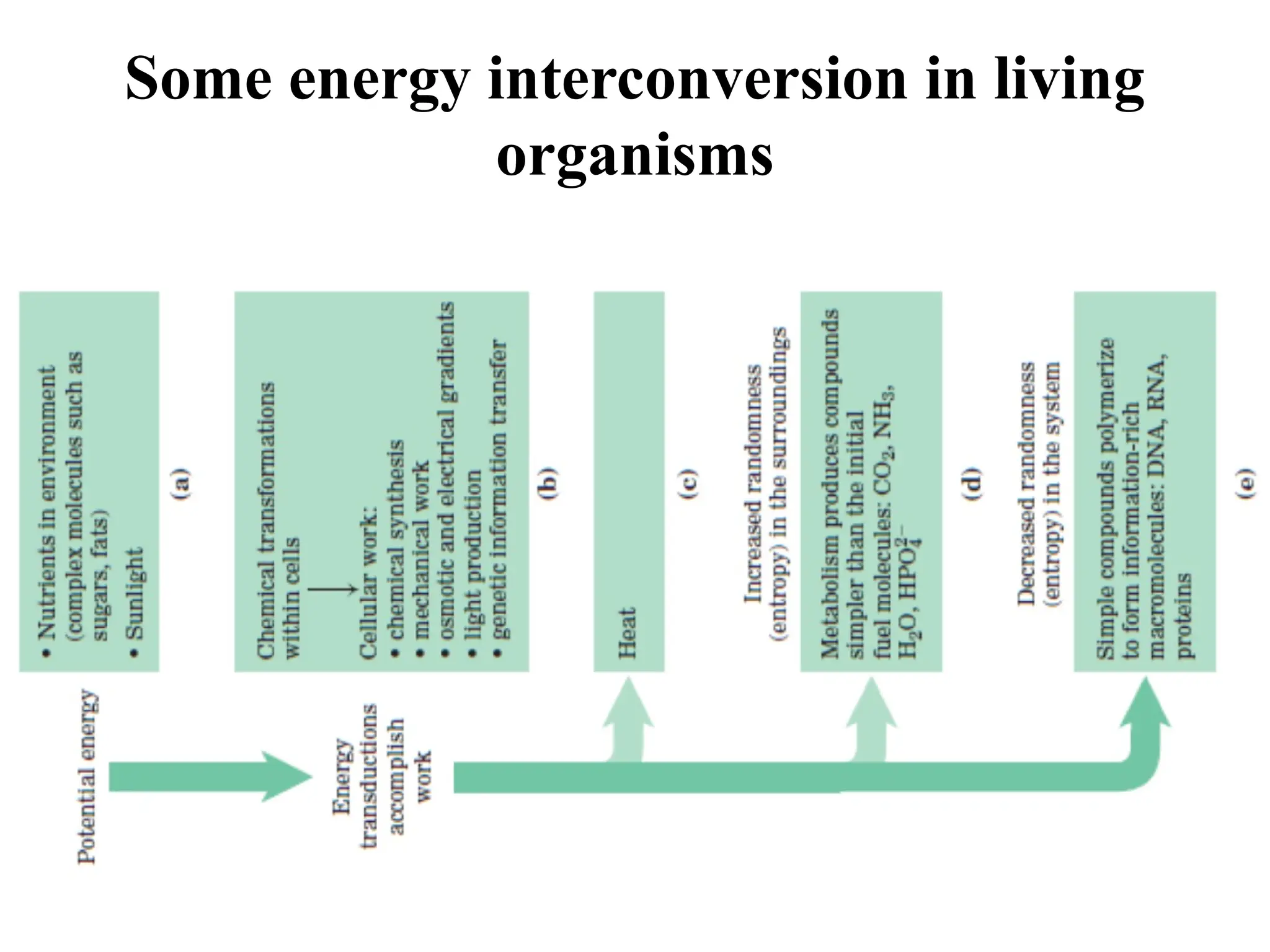 What is Life Science freshman biology pptx | PPTX