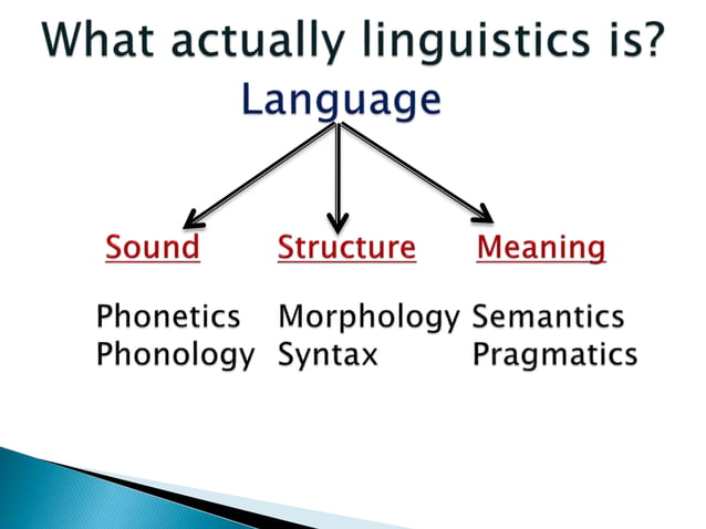 What is linguistics | PPT