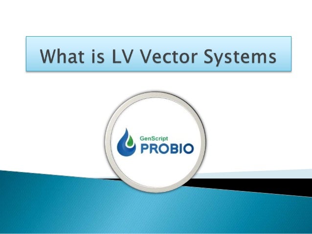 What is LV Vector Systems.pptx