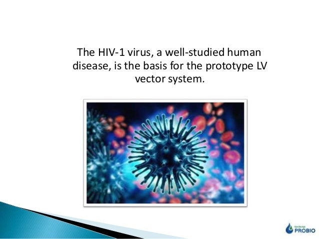 What is LV Vector Systems.pptx