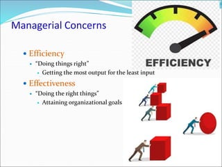 What is management the best | PPT