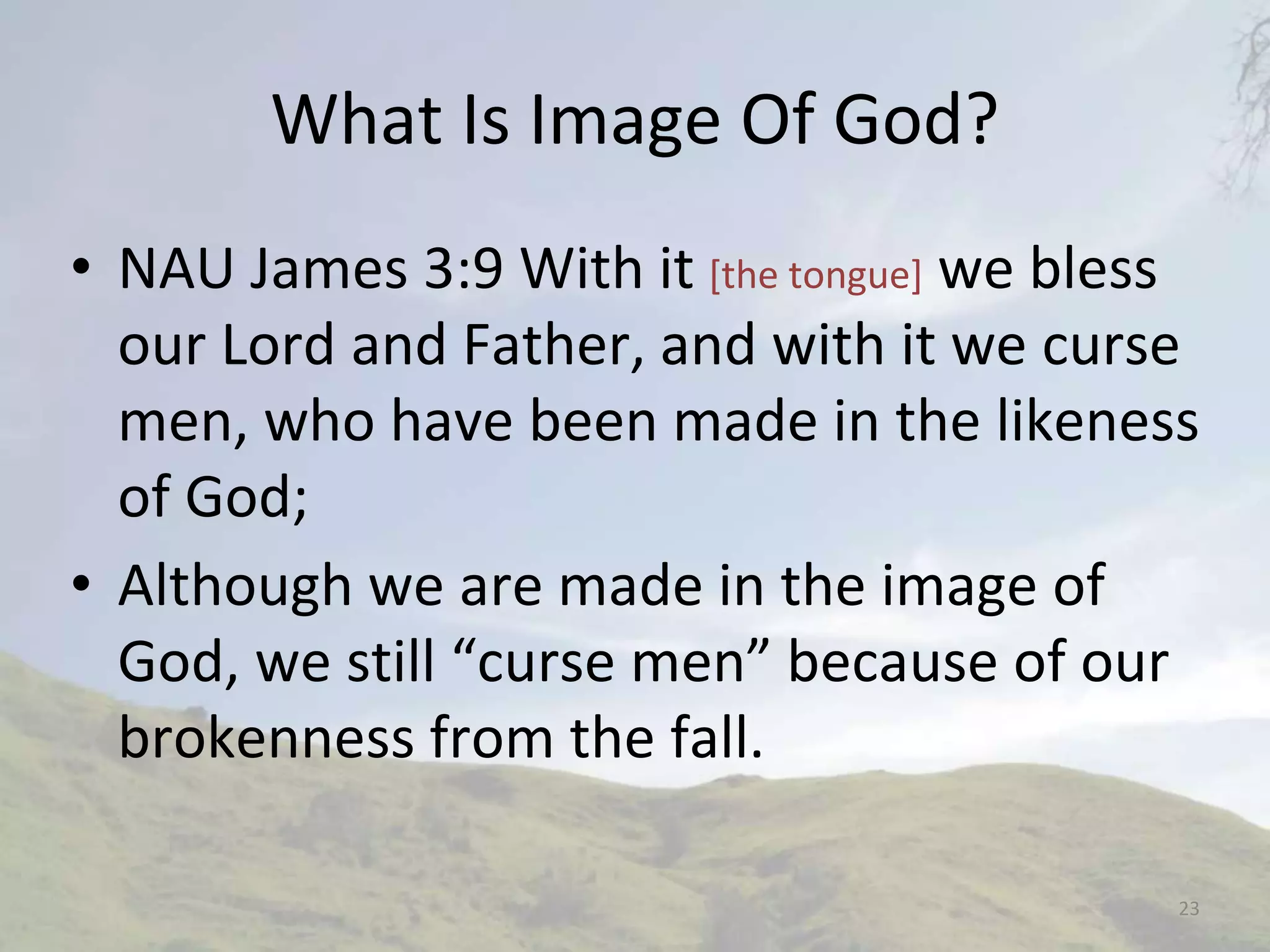 Psalm 8, What Is Man That God Cares For Him? What does it mean to be made in the image of God ...