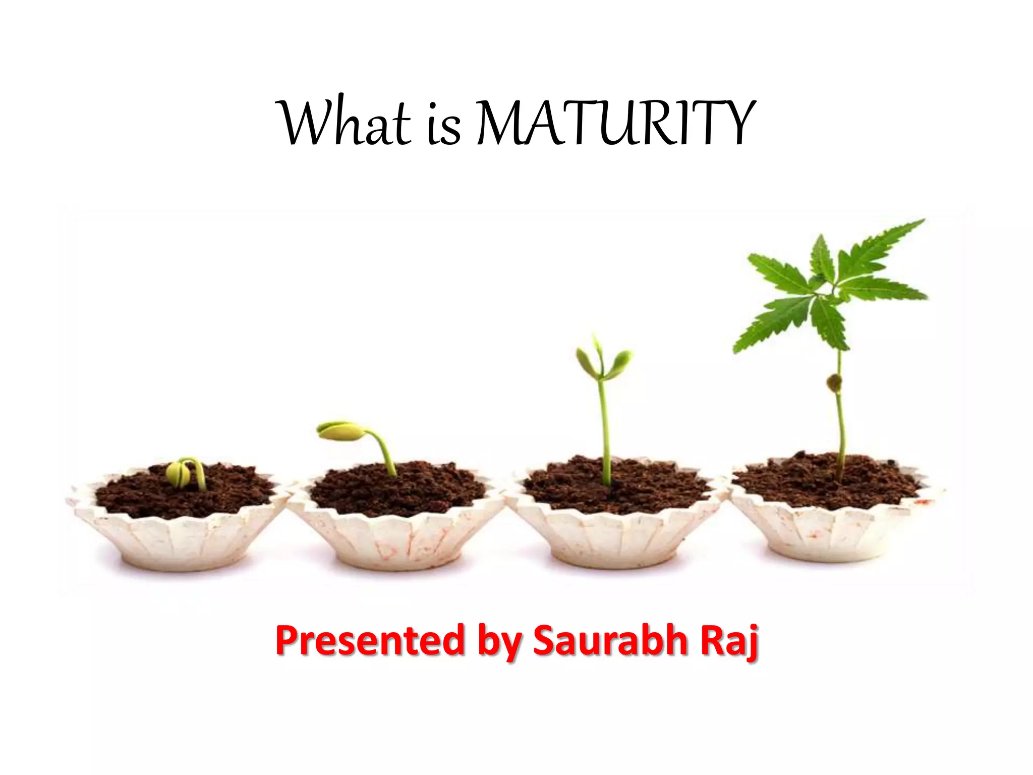 What is maturity | PPTX