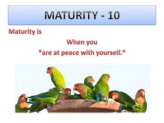 What is maturity | PPTX