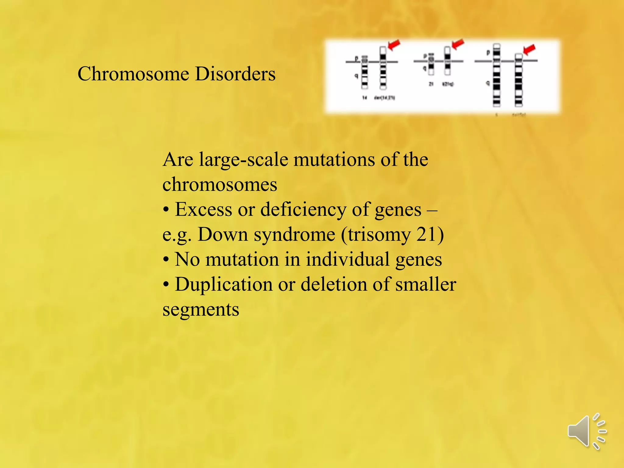 what is medical genetics.pdf
