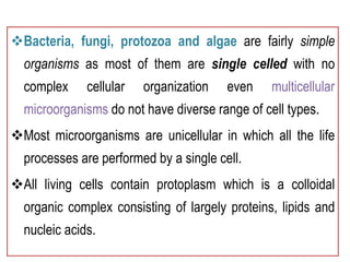 what is microorganism.pptx