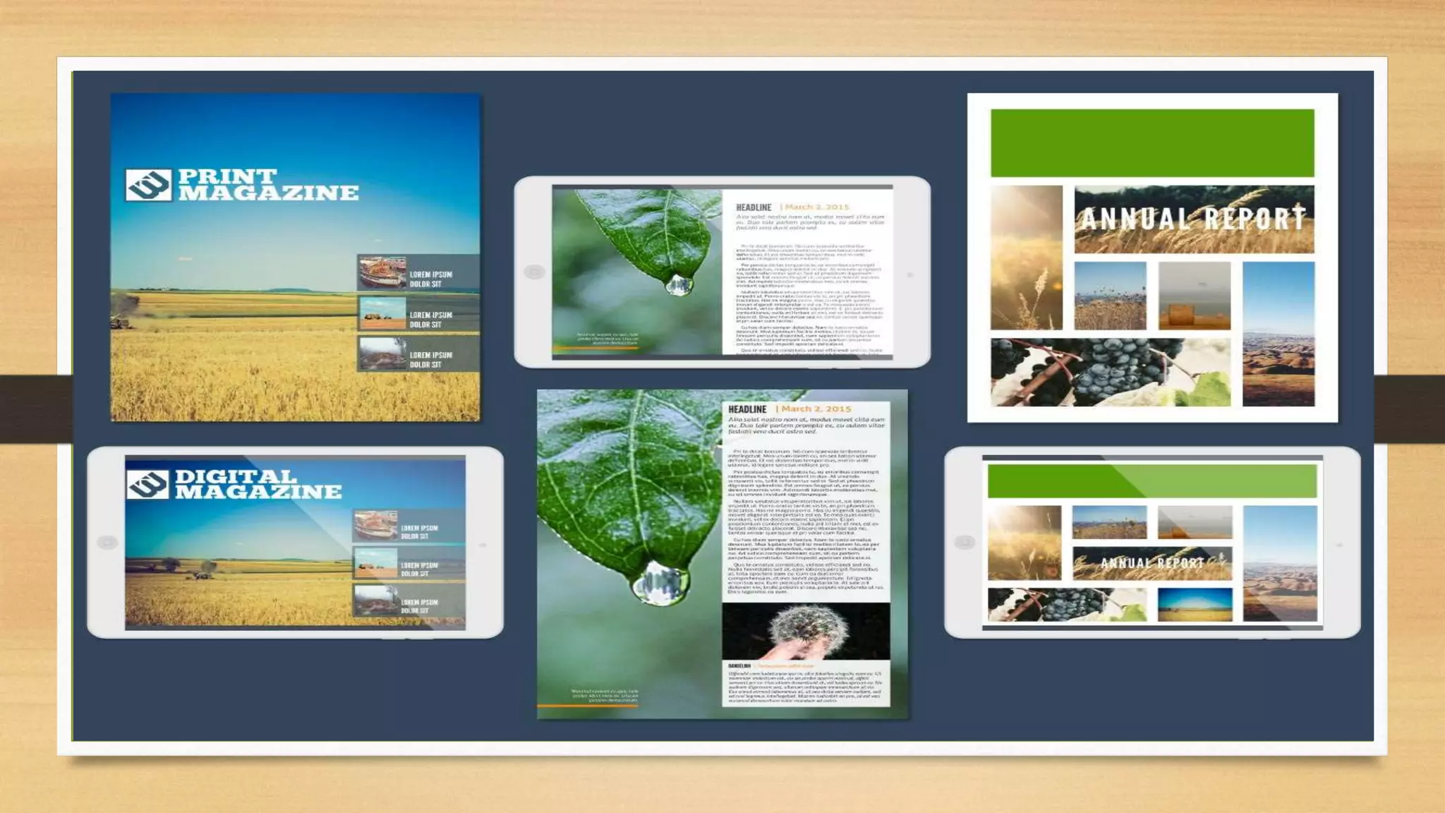 What is microsoft publisher | PPTX