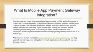 What Is Mobile App Payment Gateway Integration - consumer-sketch.pptx