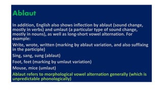 Comprehensive Linguistic Morphology: Roots, Stems, Bases, and Affixes ...